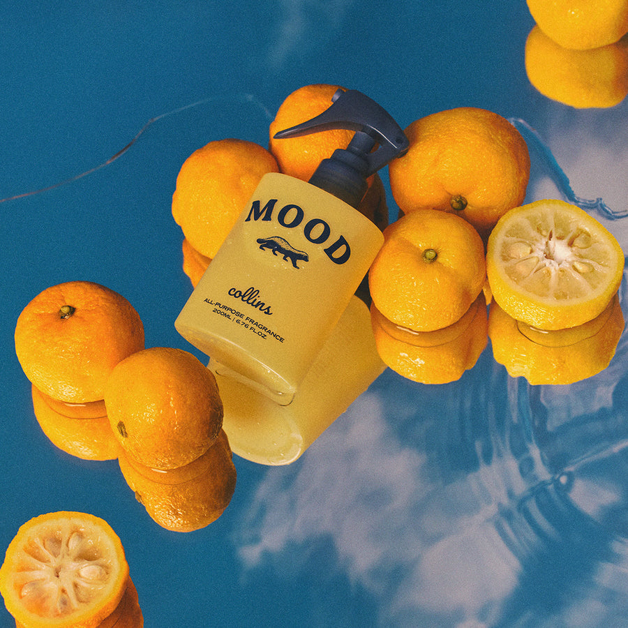 Louis & Max – Louis & Max