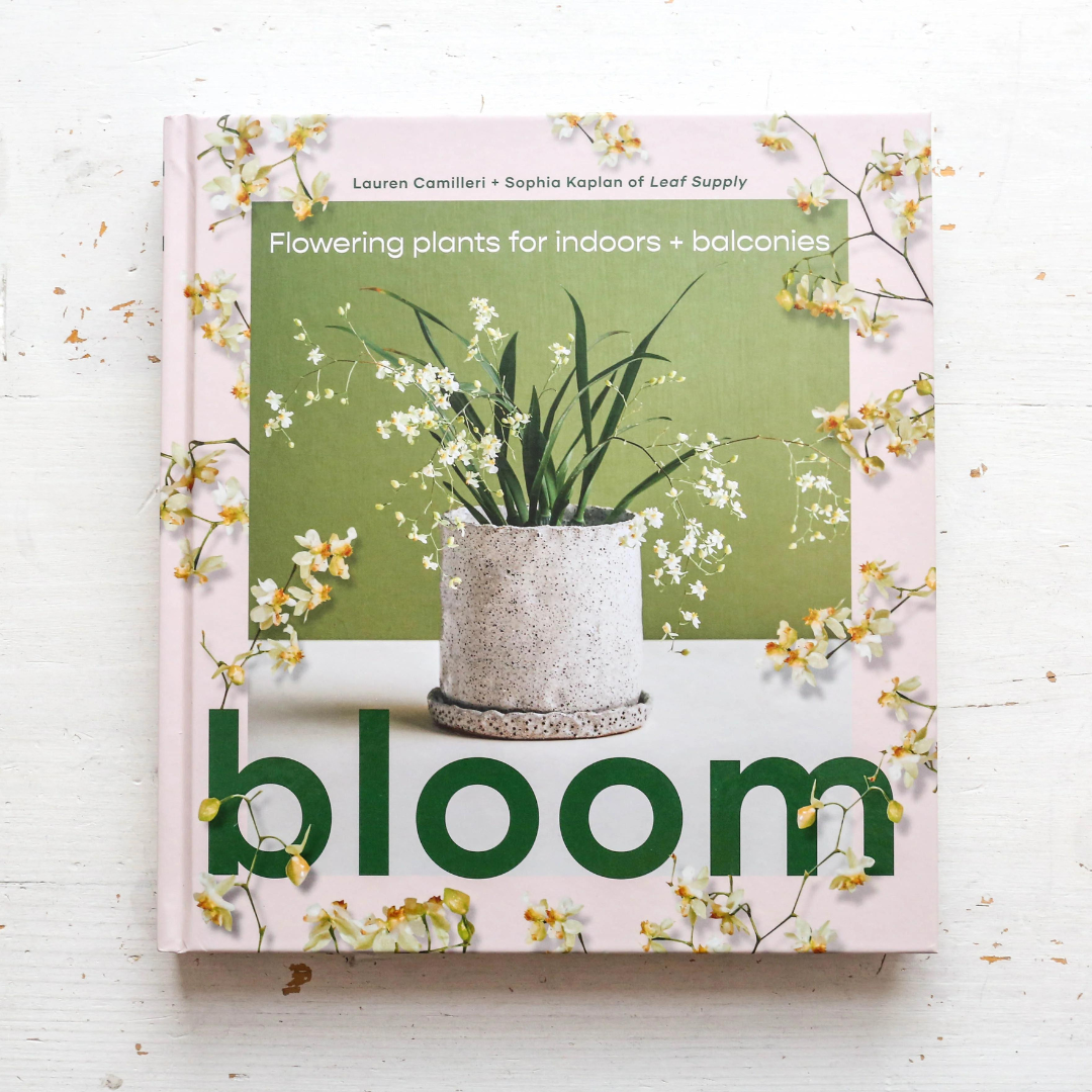 Bloom – Louis & Max